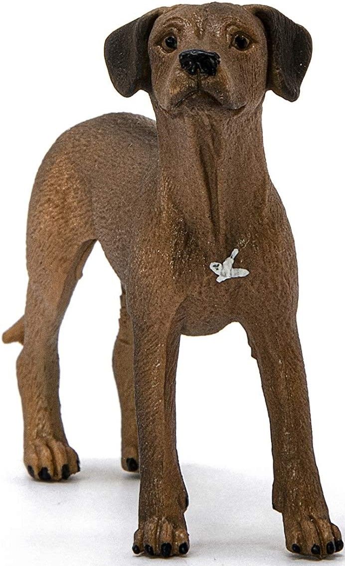 Figurina Schleich Farm World - Rhodesian Ridgeback | Ozone.ro